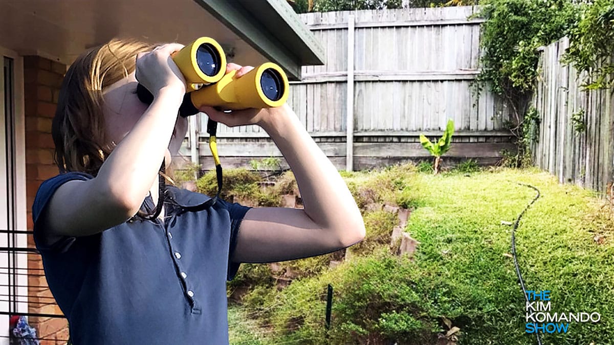 Spot the hidden snakes in these three viral pictures to stay safe in ...