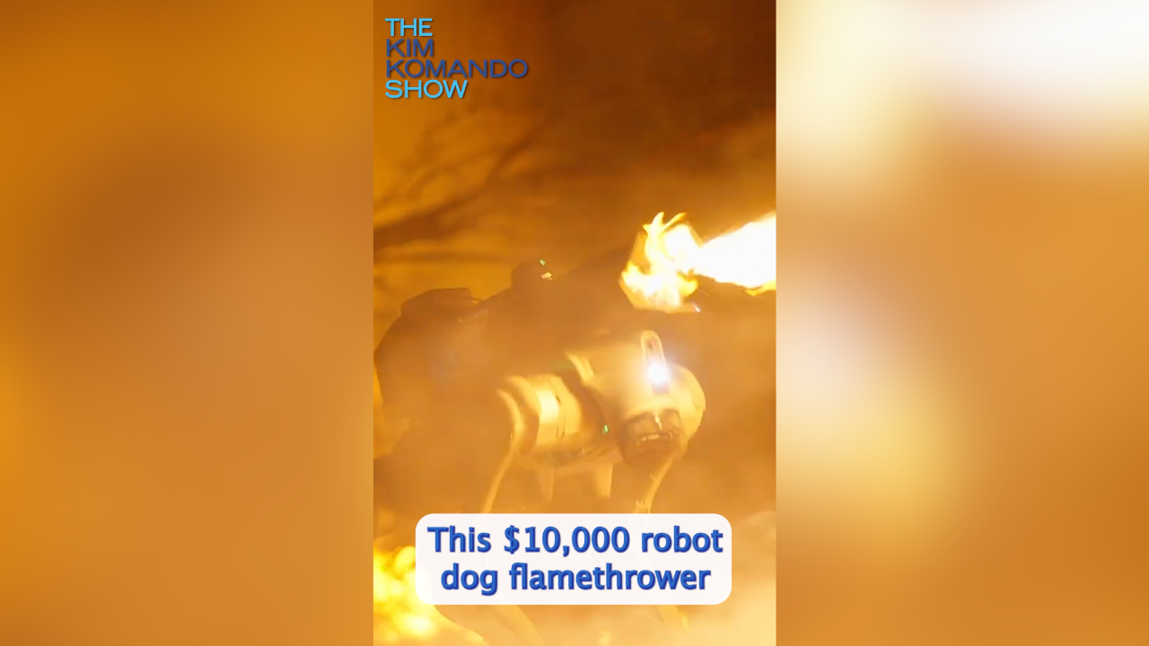 Thermonator: The flame-throwing dog - Komando.com